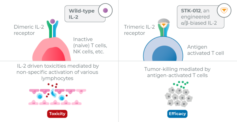 Our Platforms | Synthekine