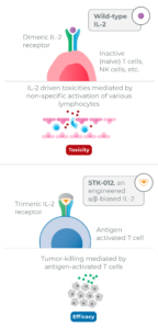 Our Platforms | Synthekine