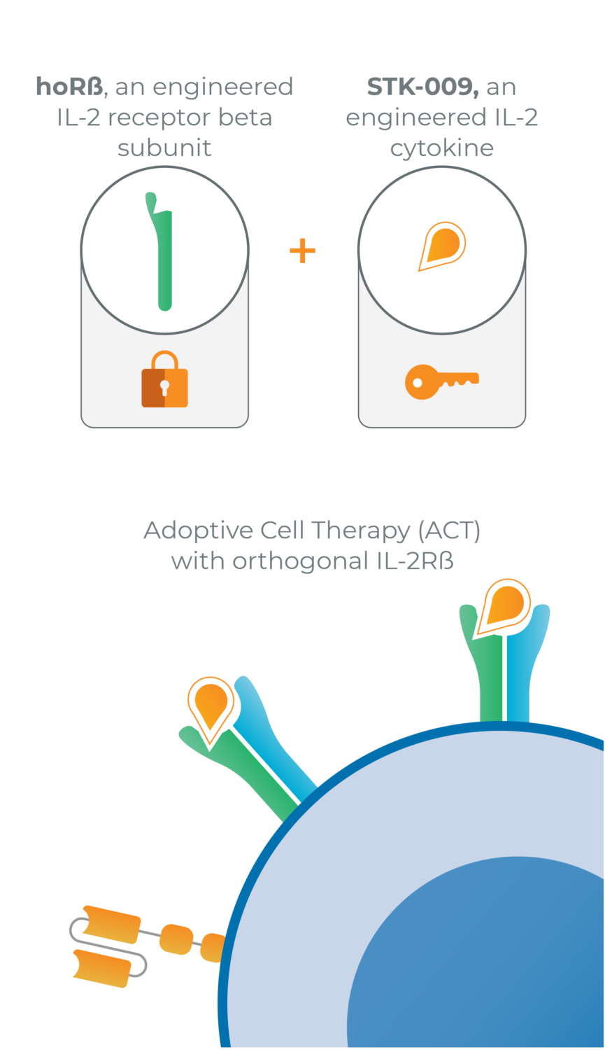Our Platforms | Synthekine